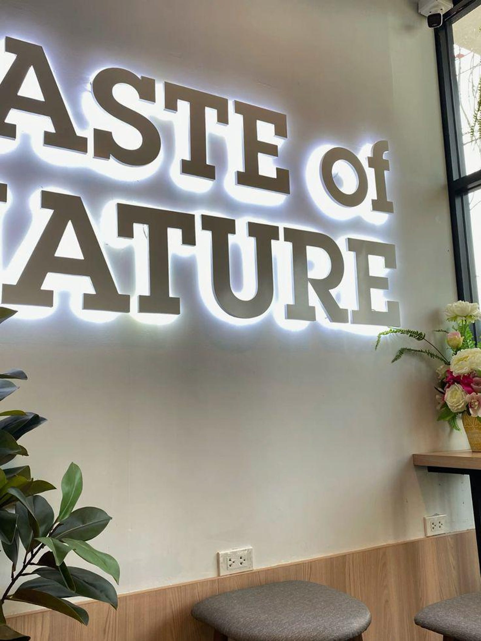 Custom Backlit Business Logo, Halo Illuminated 3D Sign, Company Signage ...