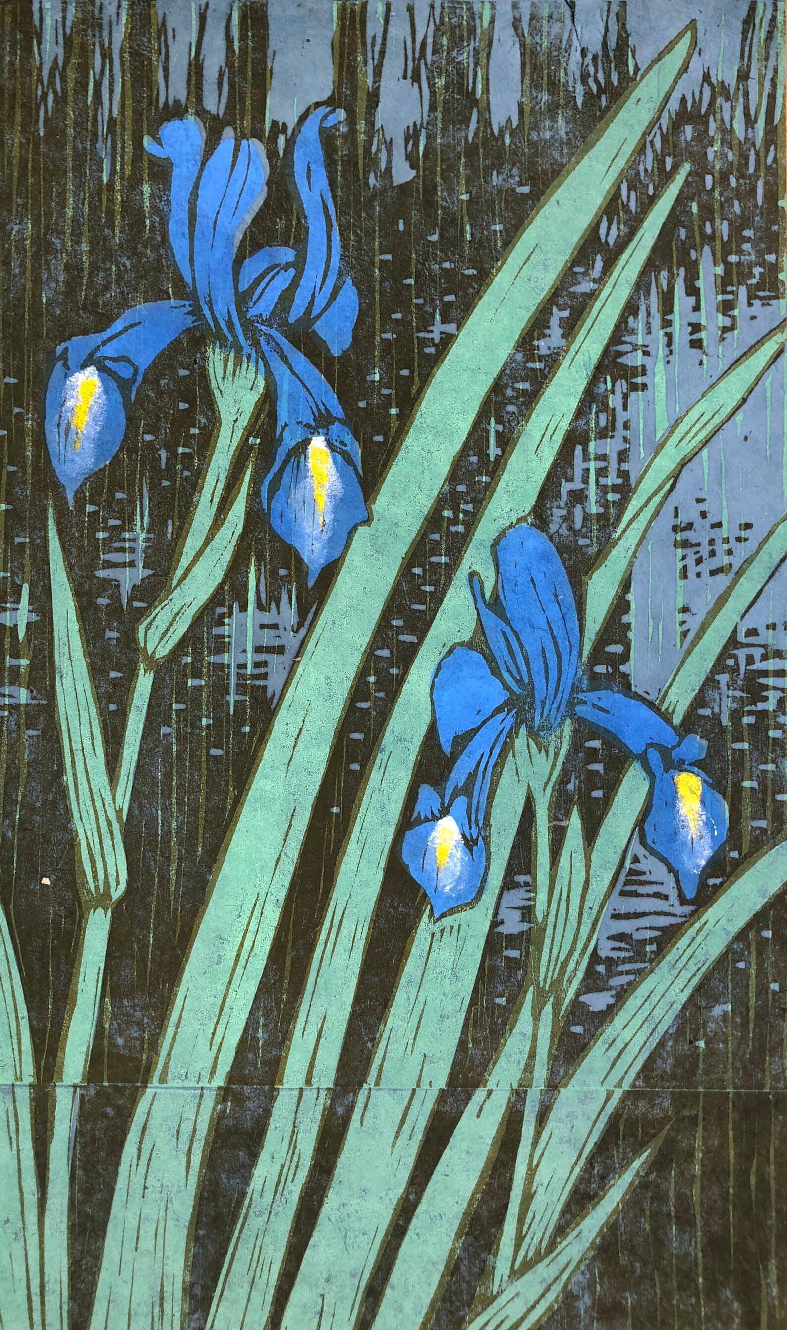 Blue Flag Iris, Large Woodblock Print on Handmade Paper - Etsy