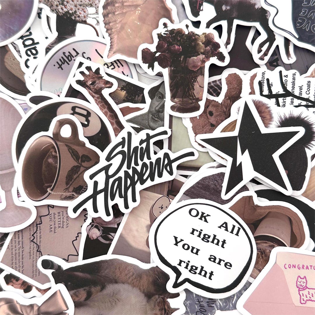 100 Random Aesthetic Stickers, Coquette Design, Vinyl Stickers ...