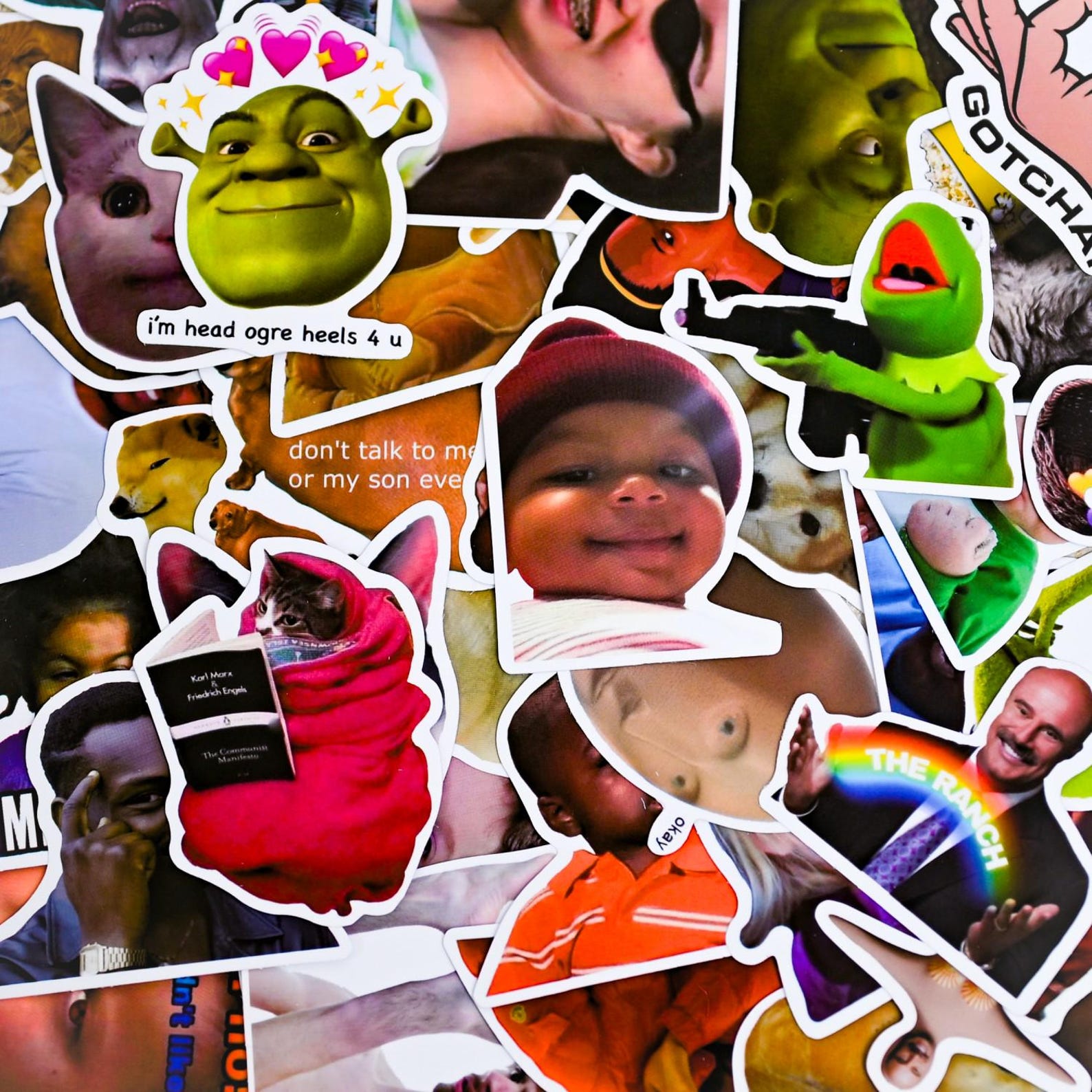 50pcs Meme Vinyl Stickers Pack, Funny and Trendy Waterproof Stickers ...
