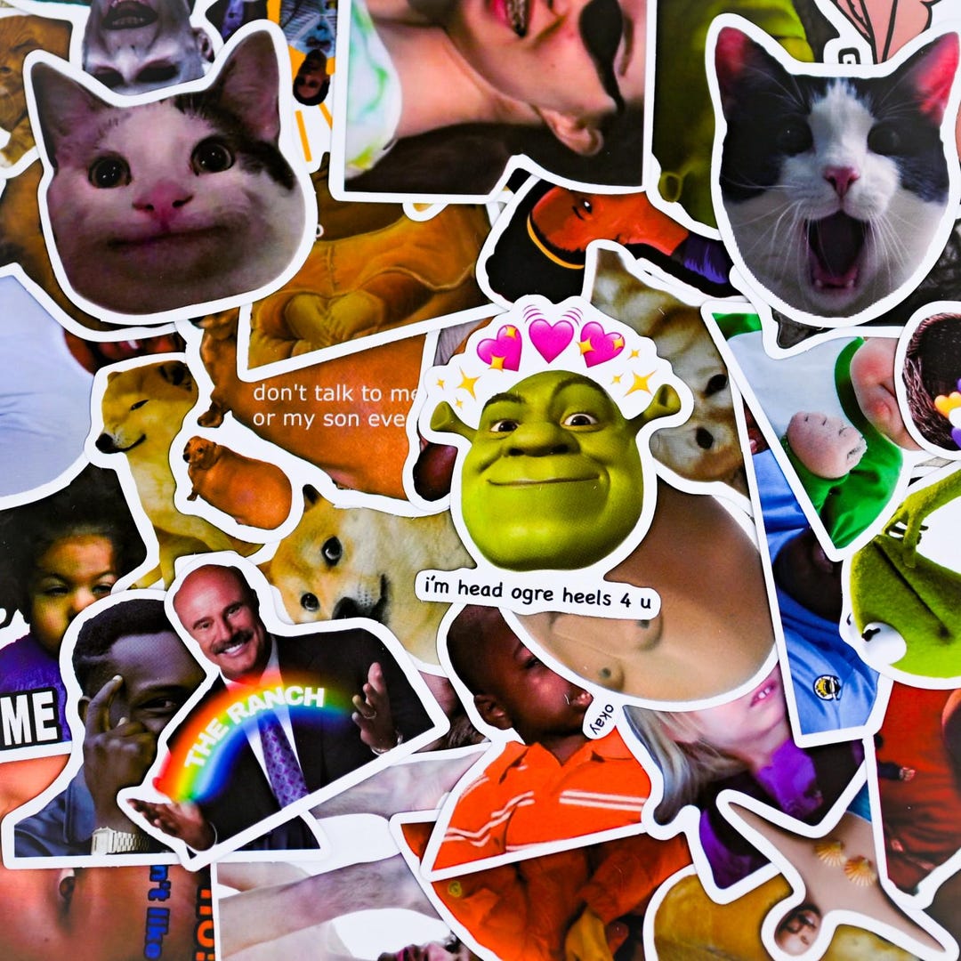 100pcs Meme Vinyl Stickers Pack, Funny and Trendy Waterproof Stickers ...