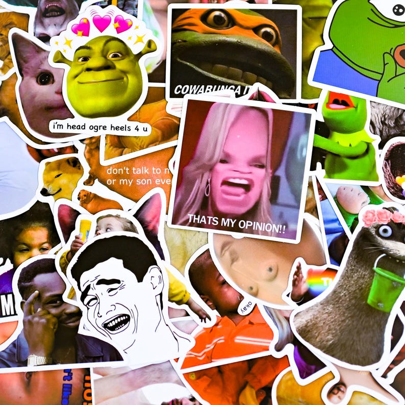 50pcs Meme Vinyl Stickers Pack, Funny and Trendy Waterproof Stickers ...