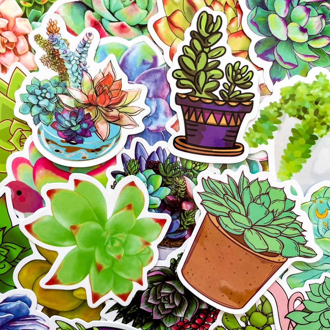 50 Random Succulent Stickers, Colorful Succulent Plant Stickers ...