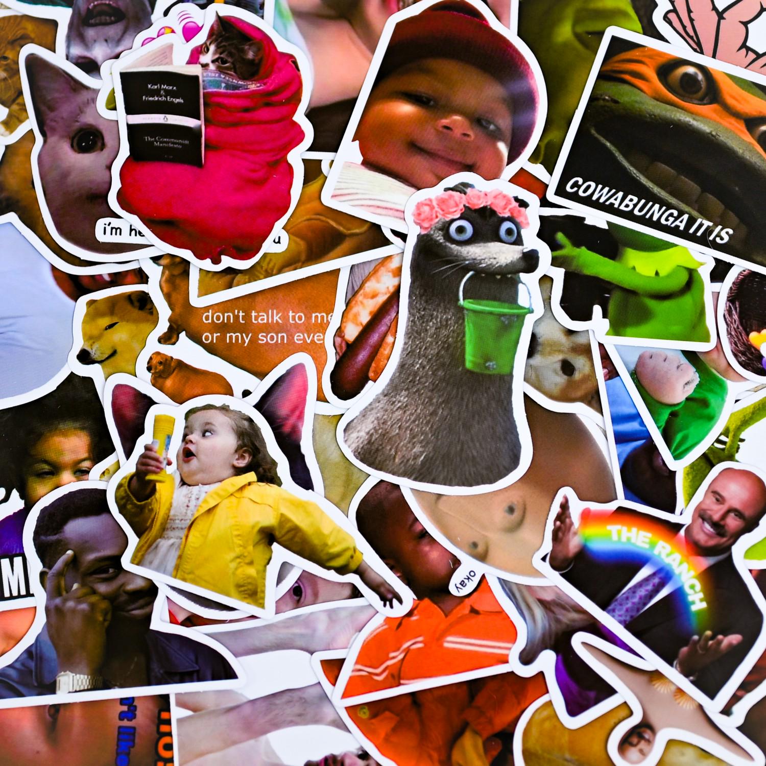50pcs Meme Vinyl Stickers Pack, Funny and Trendy Waterproof Stickers ...