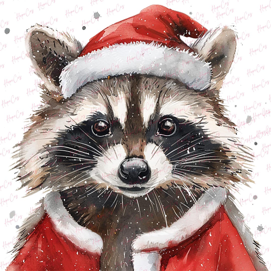 Christmas Raccoon Png, Digital Download, Raccoon PNG, Christmas Svg ...