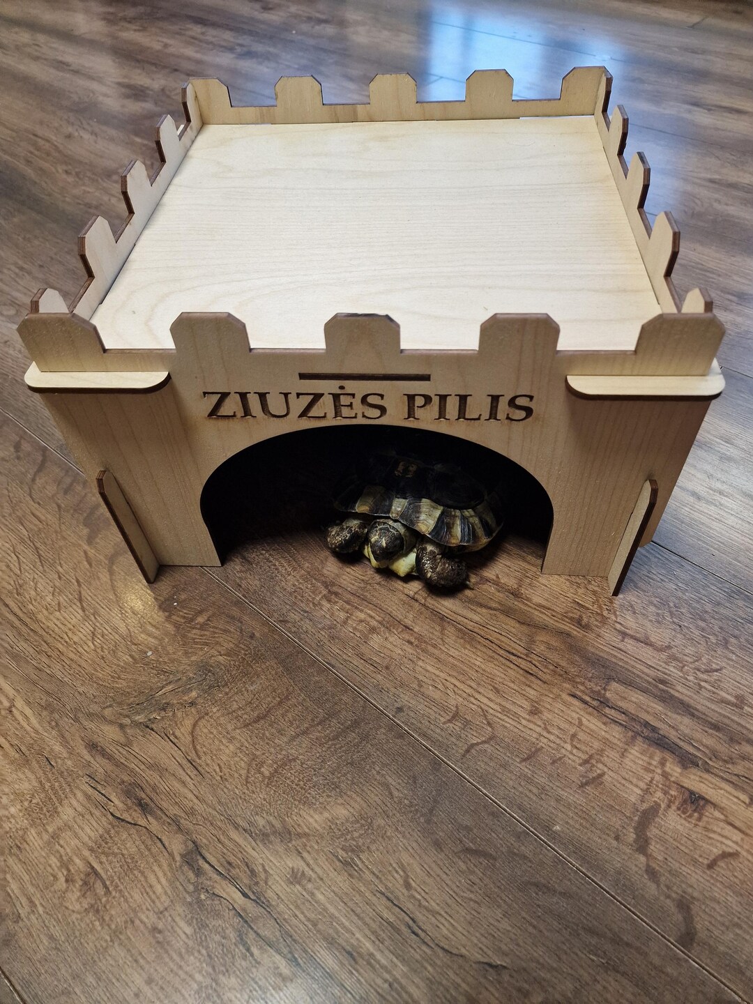 Turle House, Turtle Cave, Turtoise House, Turtoise Cave, Raptile House ...