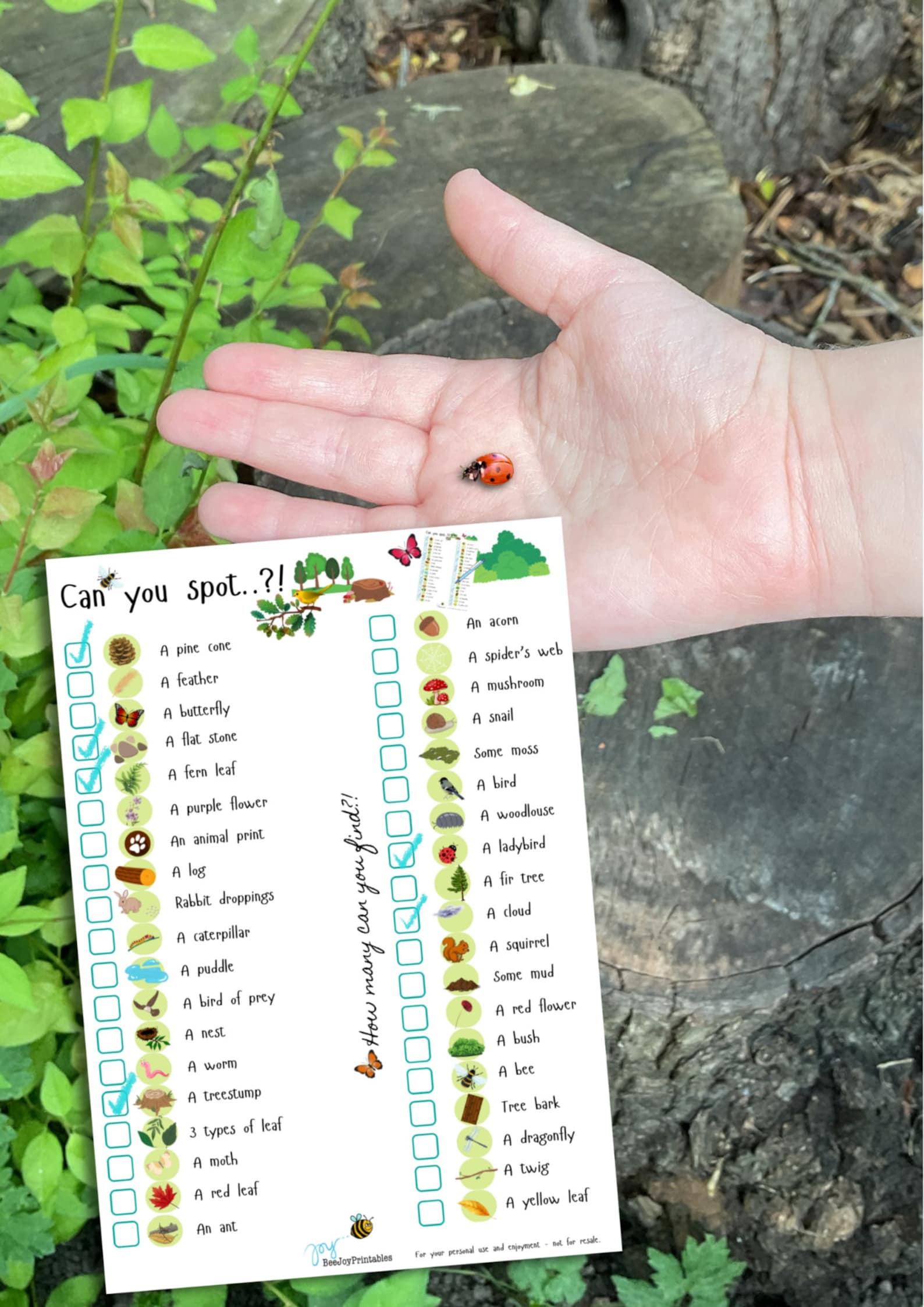 Nature Scavenger Hunt Printable for Kids (A4 PDF) - Etsy