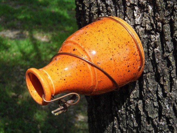 Orange Bird Bird Bottle House | Etsy