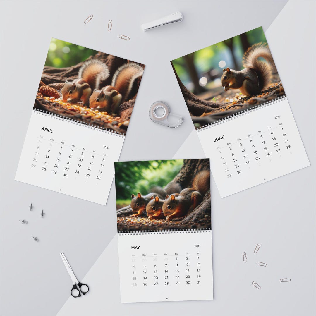 Squirrels Eating Wall Calendars 2025 - Etsy