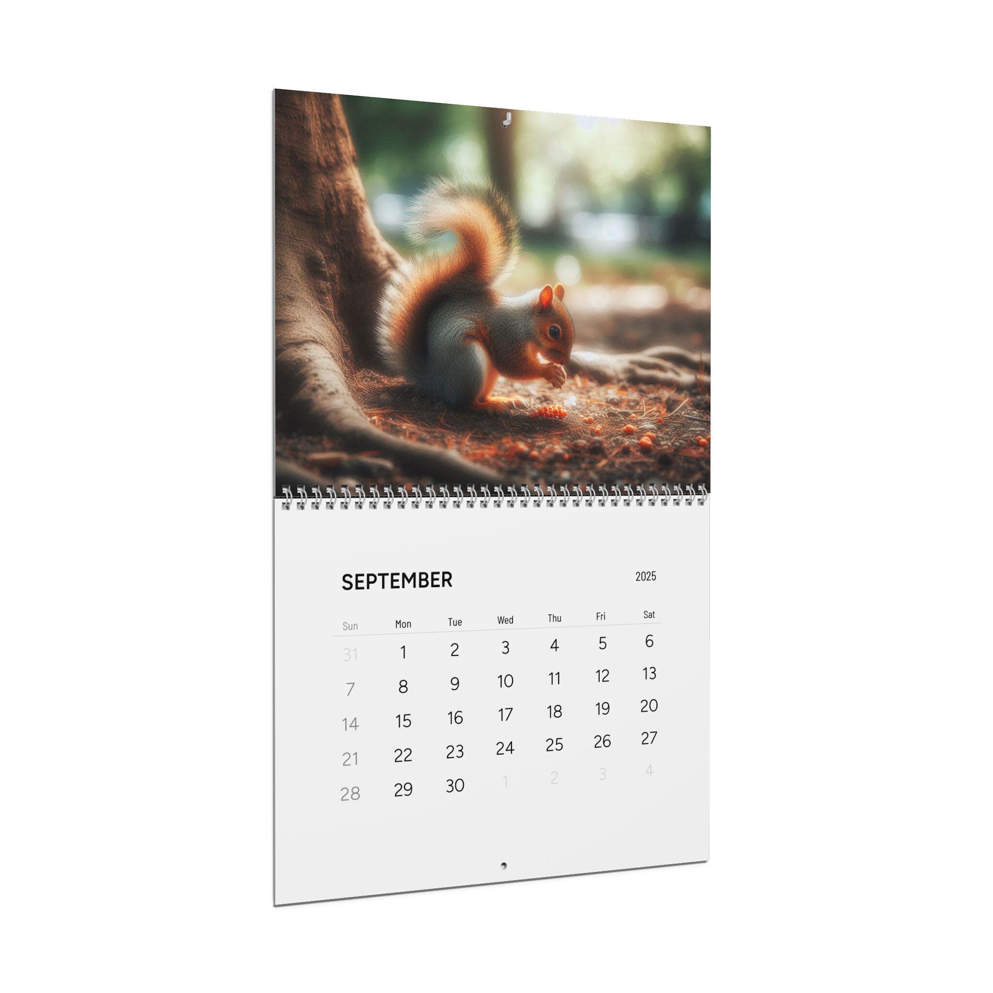Squirrels Eating Wall Calendars 2025 - Etsy