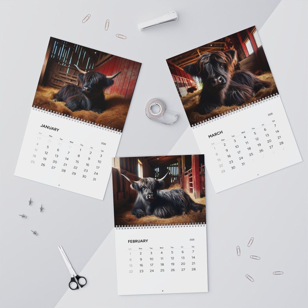 Highland Cows Relax Wall Calendars 2026 - Black Long Hair, Unique Gift ...