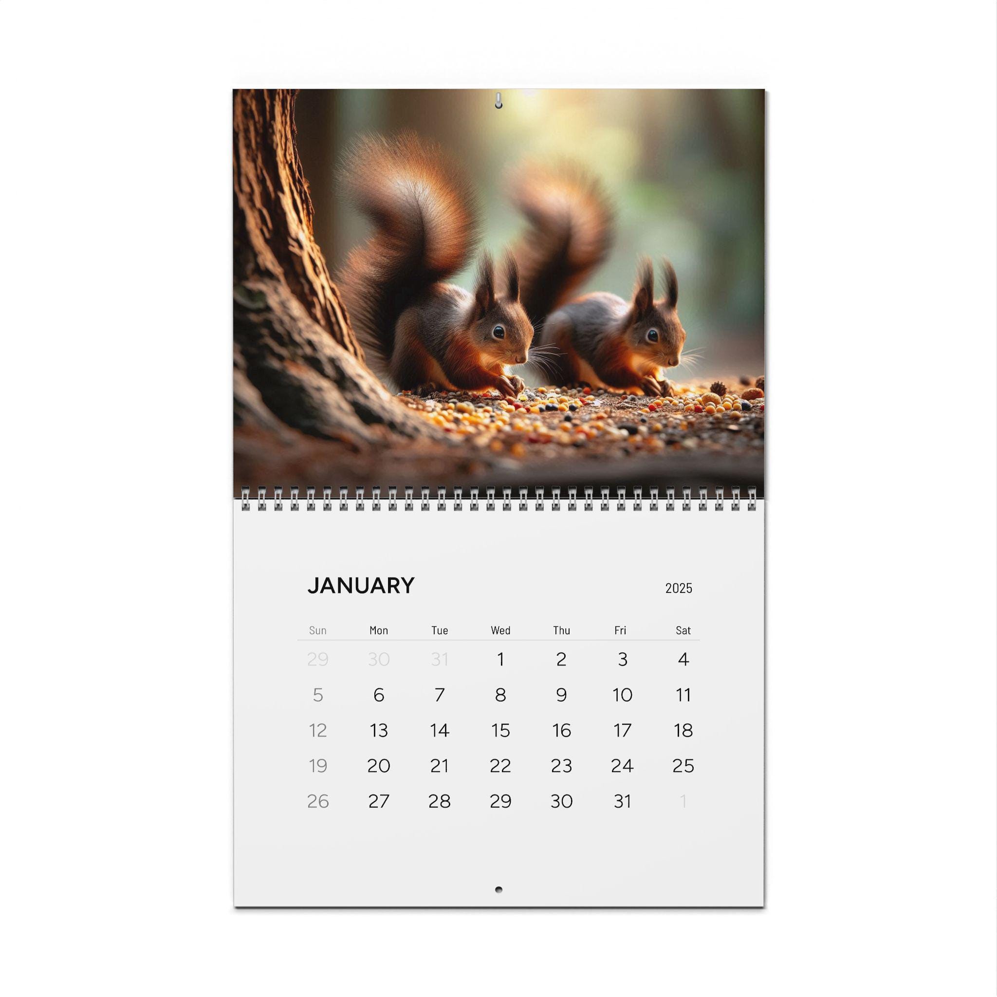 Squirrels Eating Wall Calendars 2025 - Etsy