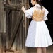 Complete Single Woman's Kroj From Napajedla, Czech Republic - Etsy