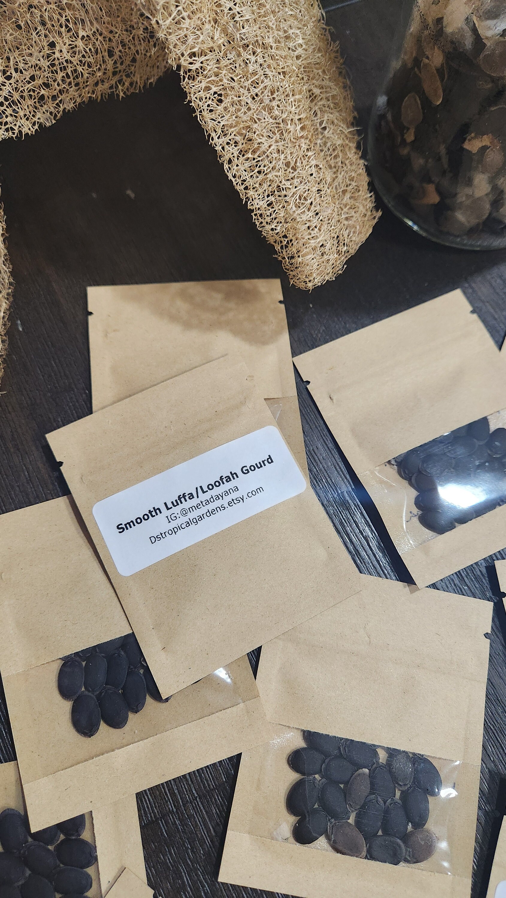 Smooth Luffa / Loofah Gourd Seeds - Etsy
