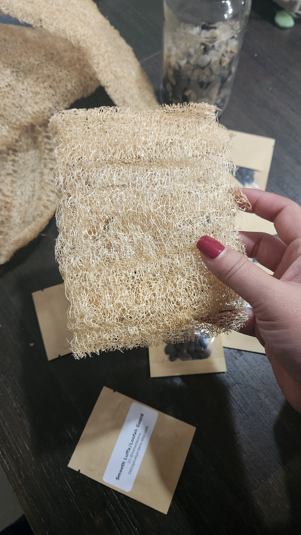 Smooth Luffa / Loofah Gourd Seeds - Etsy