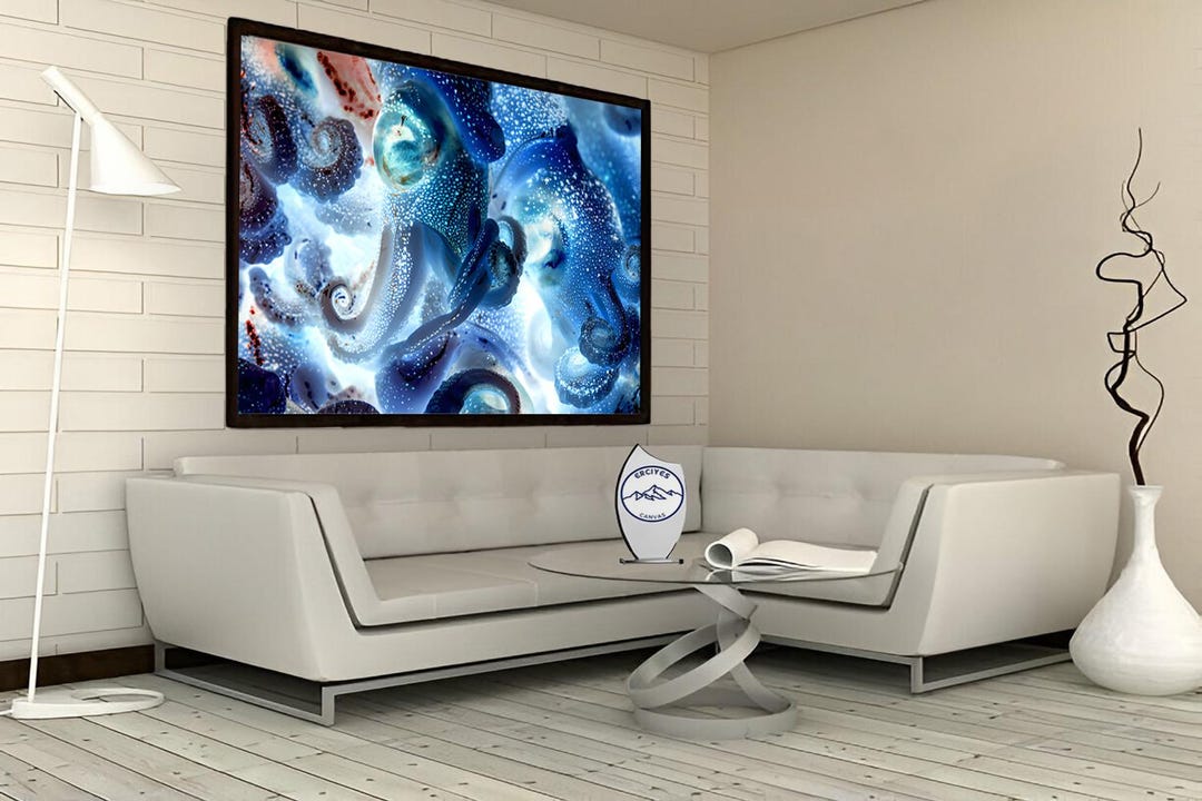 Raw Whole Calamari, Squid, Octopus, Squid Decor, Octopus Decor ...