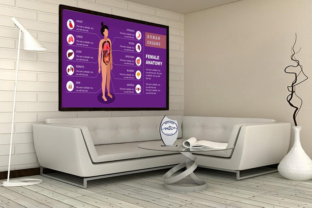 Human Organs Famale Anatomy Canvas, Education Decor, Biology Decor ...