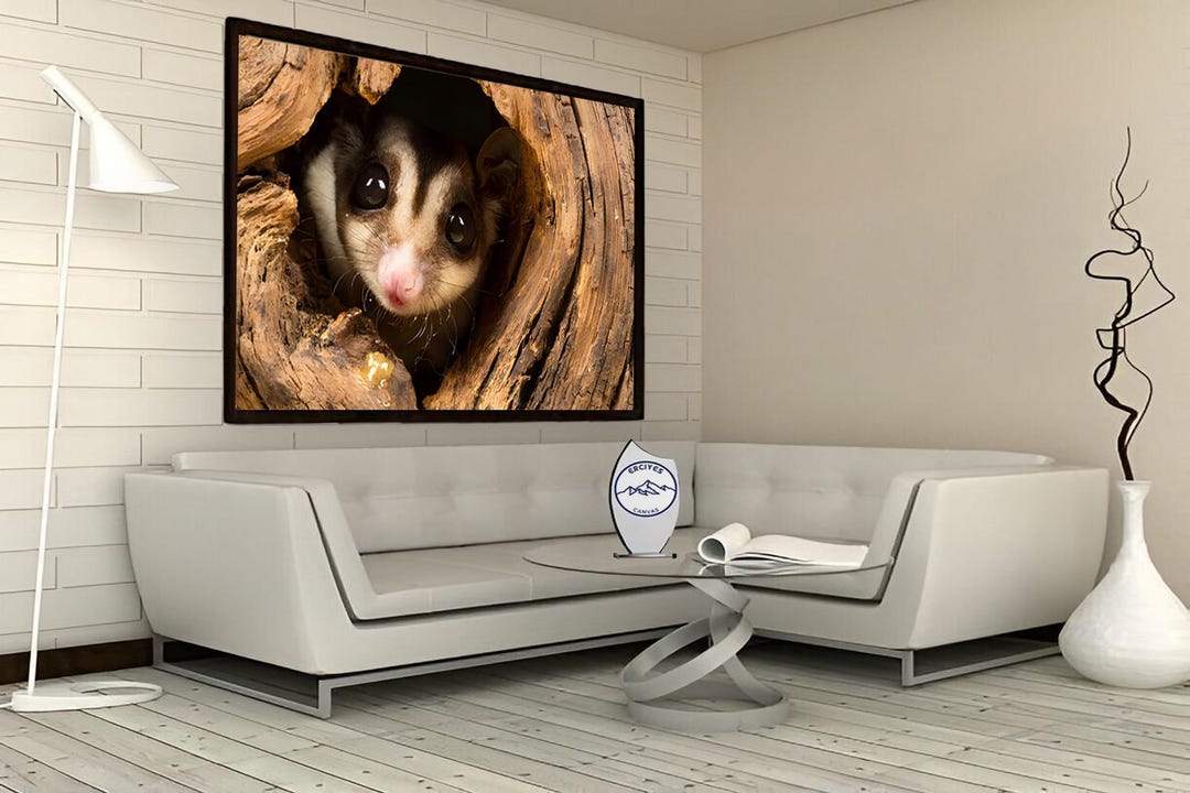 Cute Opossum Canvas, Opossum Decor, Opossum Wall Decor, Opossum Canvas ...
