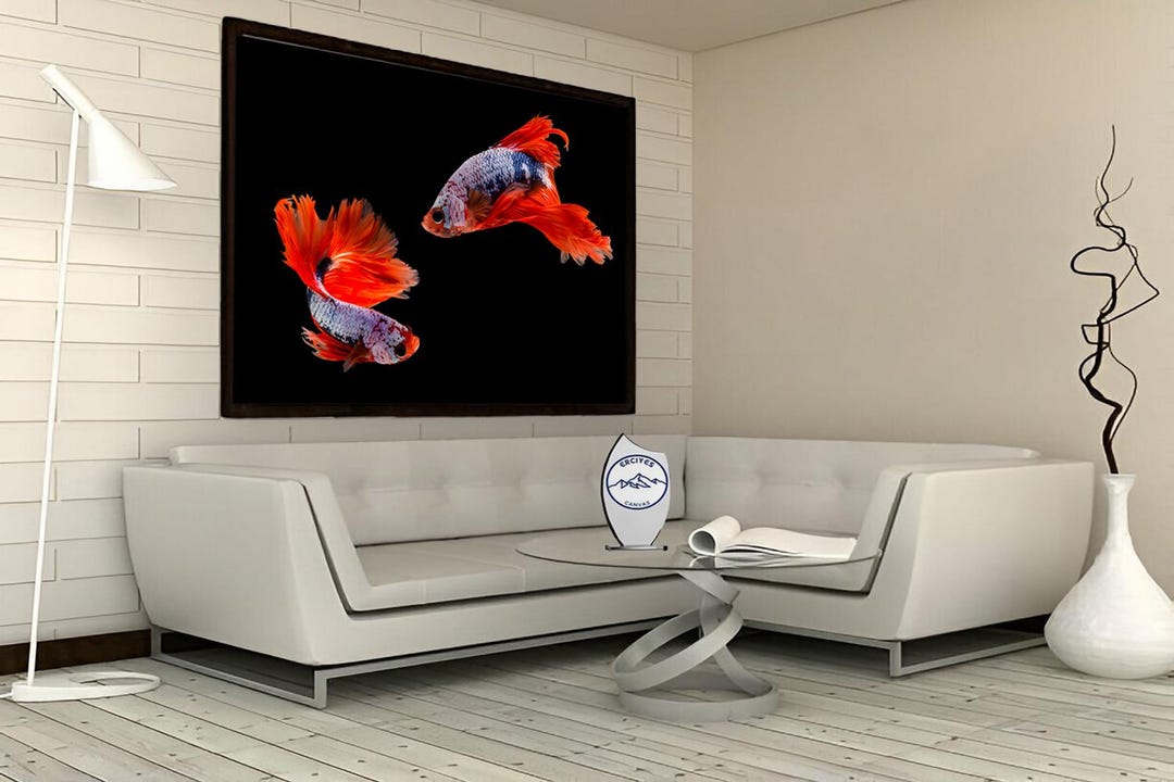 Betta Fish Canvas, Fish Canvas, Betta Fish Decor, Betta Fish Wall Decor ...