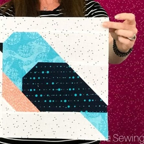 Blue Jay Song Bird Quilt Block PDF PATTERN - Etsy