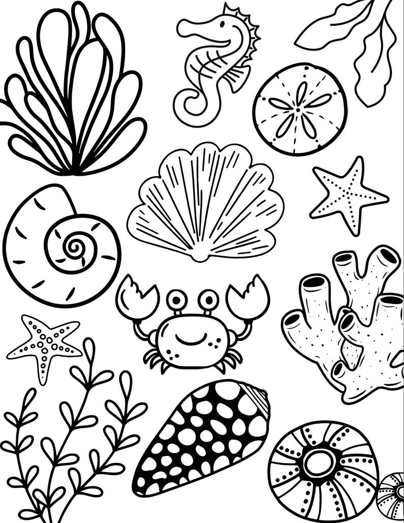 Set of 4, Ocean Colouring Pages, Sea, Seashells, Fish, Kids Colouring ...