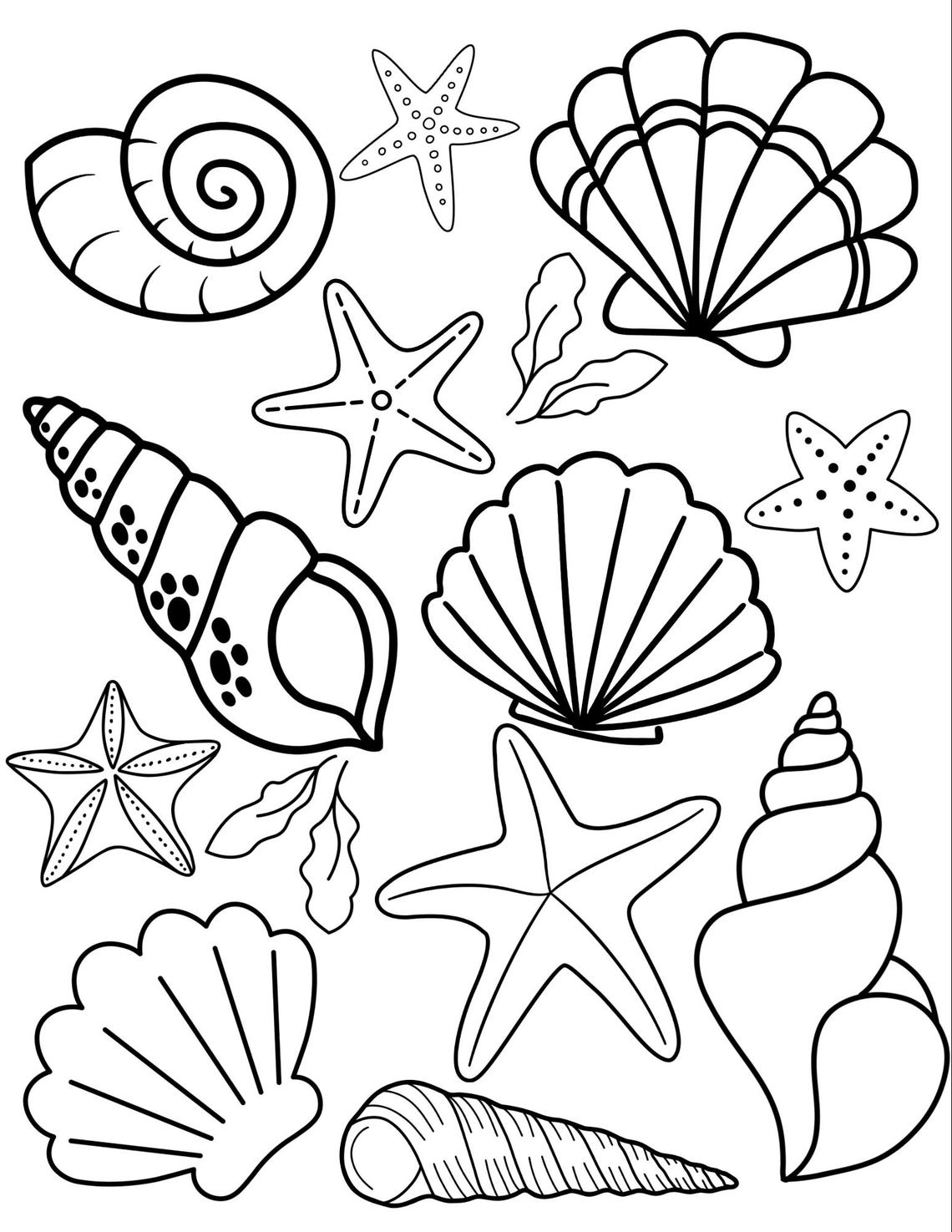 Set of 4, Ocean Colouring Pages, Sea, Seashells, Fish, Kids Colouring ...