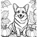 Dogs in the Fall Coloring Pages, You Can Enjoy the Top 20 Most Popular ...