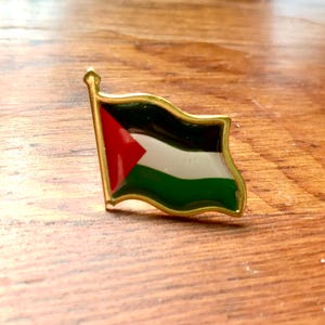 Enamel Pin Palestinian Flag Brooch Palestine Gaza Support Protest - Etsy