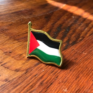 Enamel Pin Palestinian Flag Brooch Palestine Gaza Support Protest - Etsy