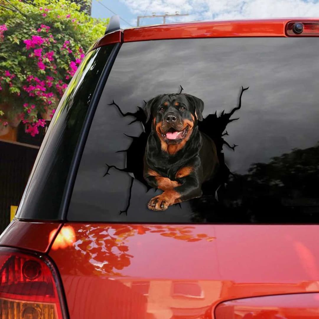 Rottweiler Decal Rottweiler Crack Dog Decalgift Car Decal - Etsy