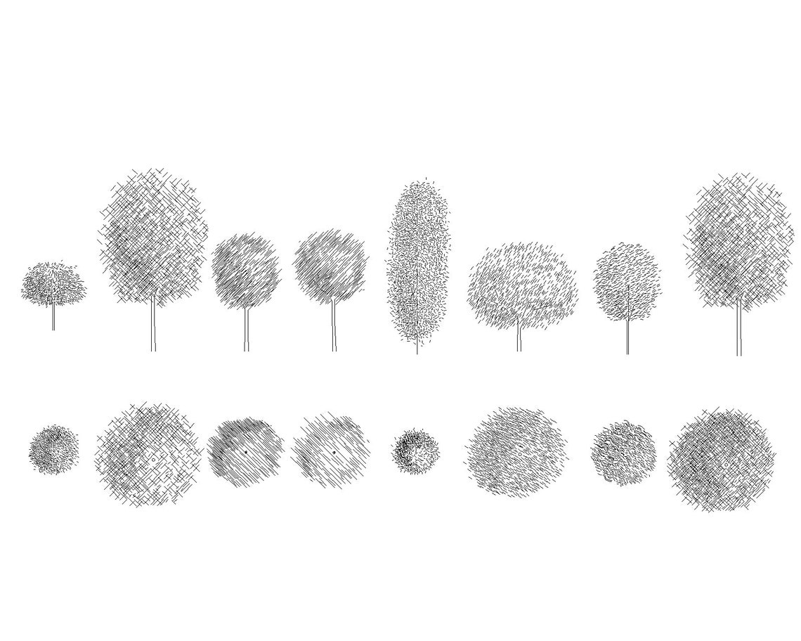 Autocad Landscaping Blocks: Trees, Palms, and Plants in Plan and ...