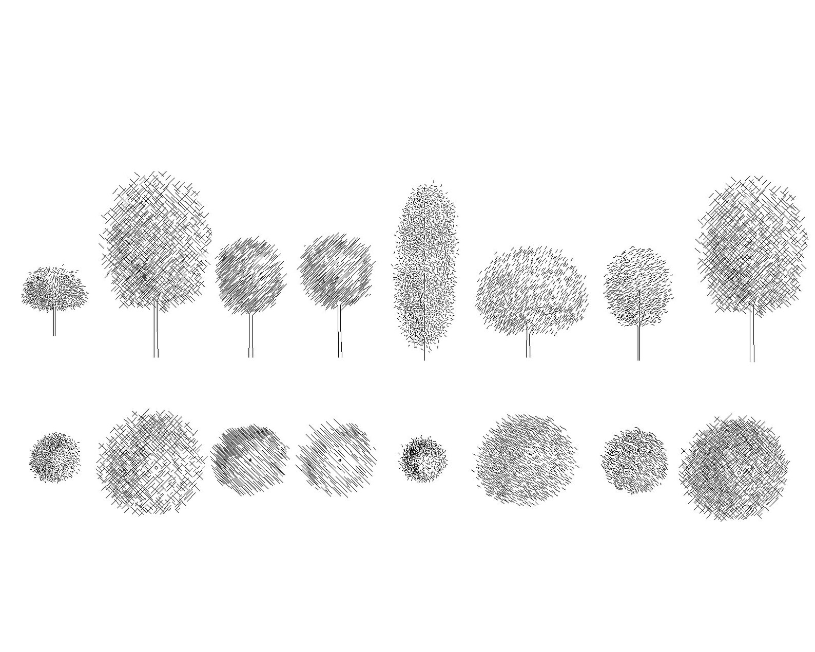 Autocad Landscaping Blocks: Trees, Palms, and Plants in Plan and ...