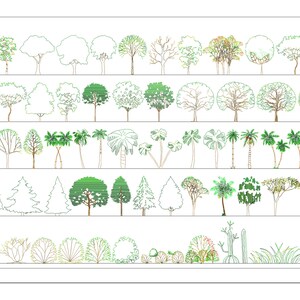 Autocad Landscaping Blocks: Trees, Palms, and Plants in Plan and ...