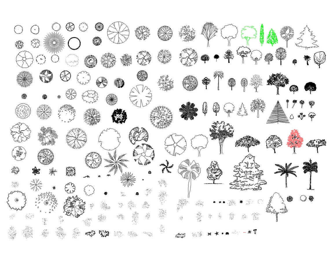 Autocad Landscaping Blocks: Trees, Palms, and Plants in Plan and ...