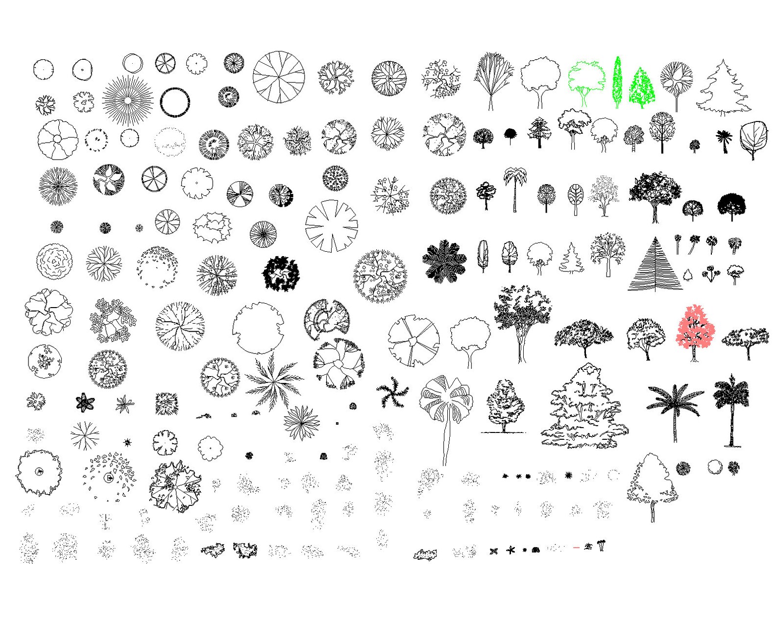 Autocad Landscaping Blocks: Trees, Palms, and Plants in Plan and ...