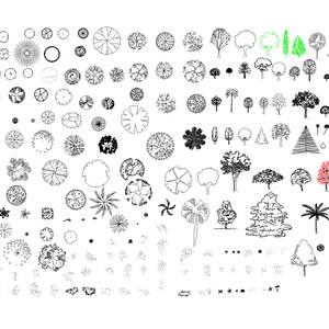 Autocad Landscaping Blocks: Trees, Palms, and Plants in Plan and ...
