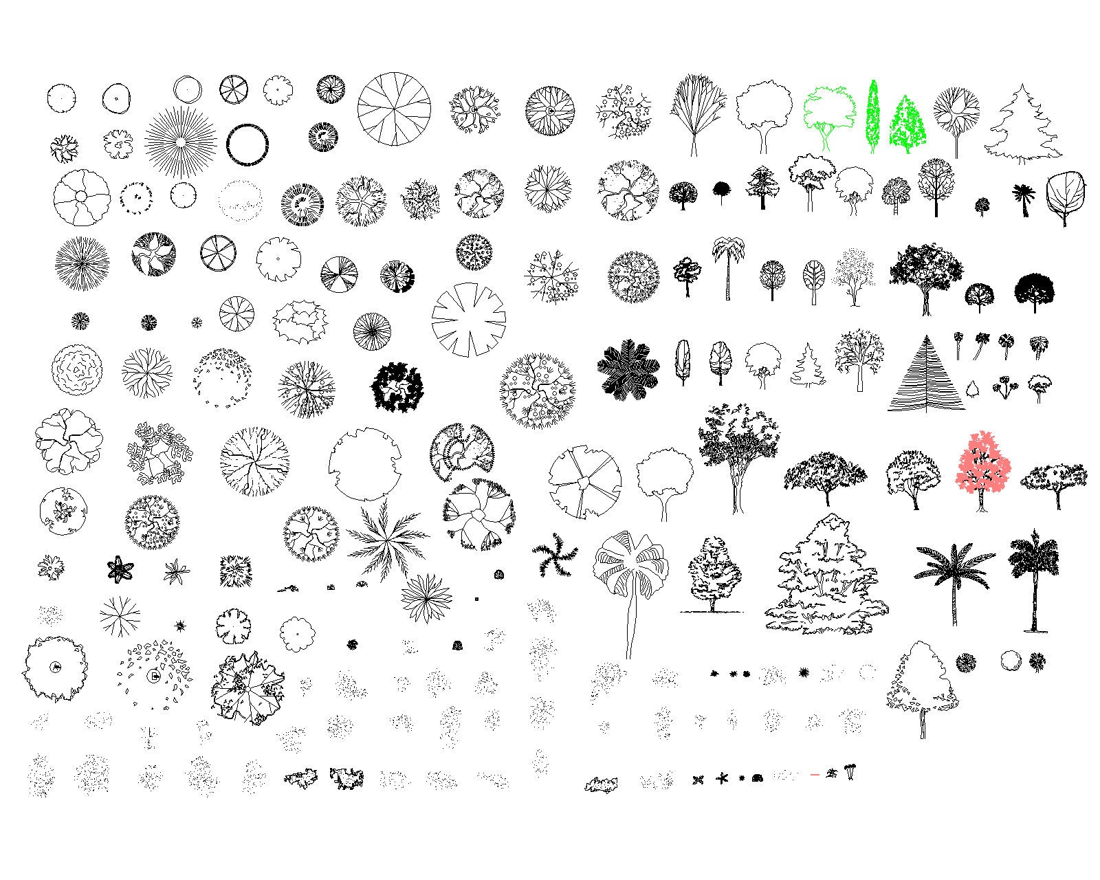 Autocad Landscaping Blocks: Trees, Palms, and Plants in Plan and ...