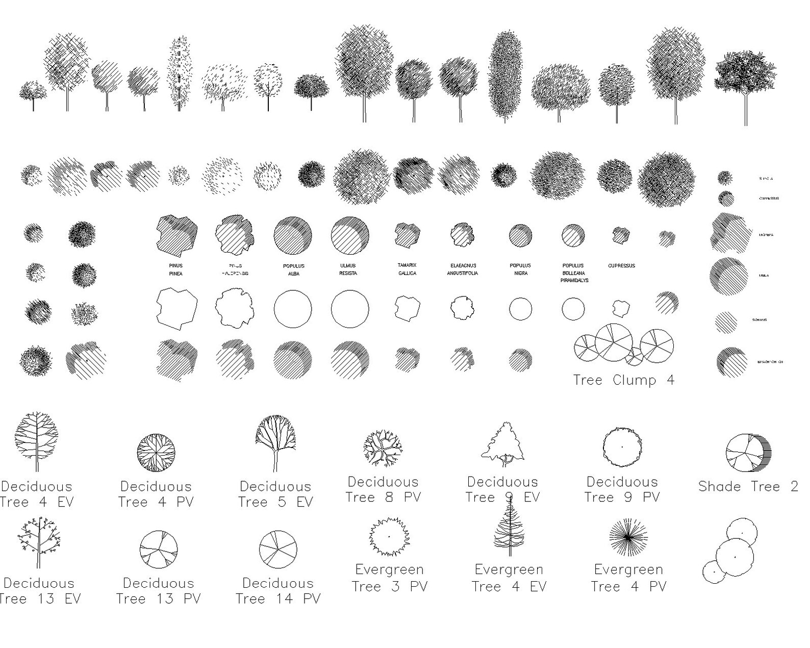 Autocad Landscaping Blocks: Trees, Palms, and Plants in Plan and ...