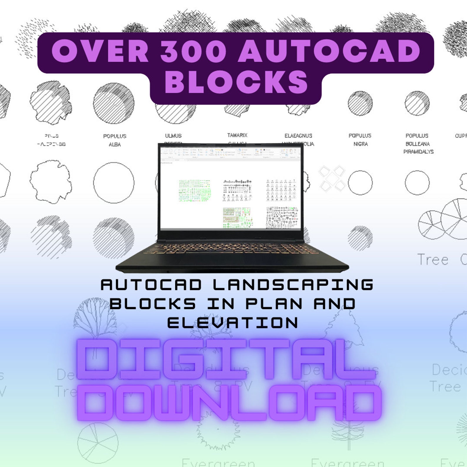 Autocad Landscaping Blocks: Trees, Palms, and Plants in Plan and ...