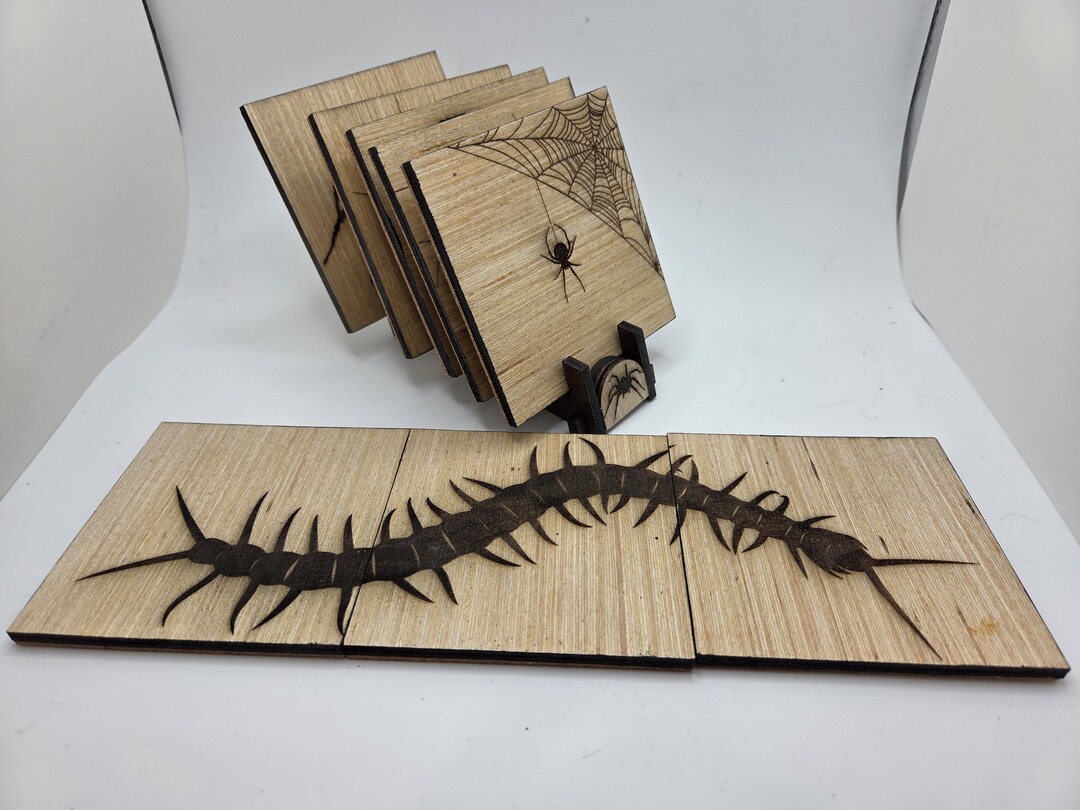 Creepy Crawly Bug Drink Coasters – Spooky & Unique Tabletop Décor– With ...