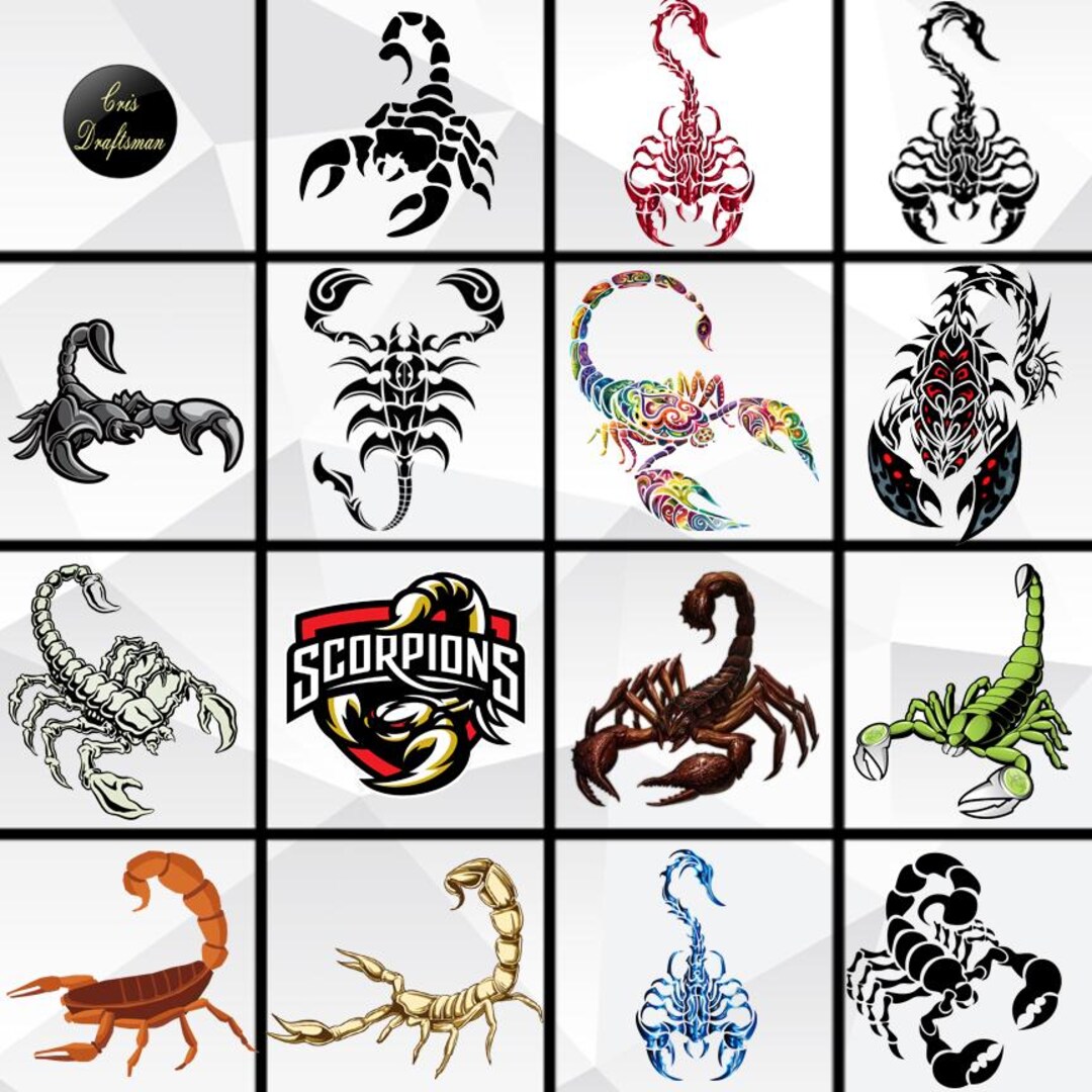 Digital Illustration Scorpion Animal Insects, Digital Artworks ...