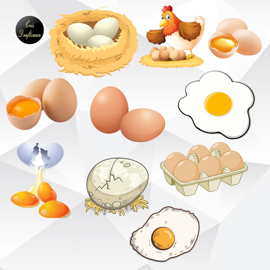 Egg Yolk Hen Chicken Illustration, Digital Print, Printable, Sticker ...