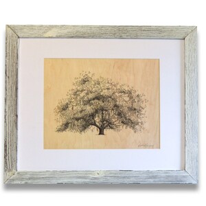 Wood Tree Art - Old Oak Tree Print - Nature Lover Gift - 5th ...