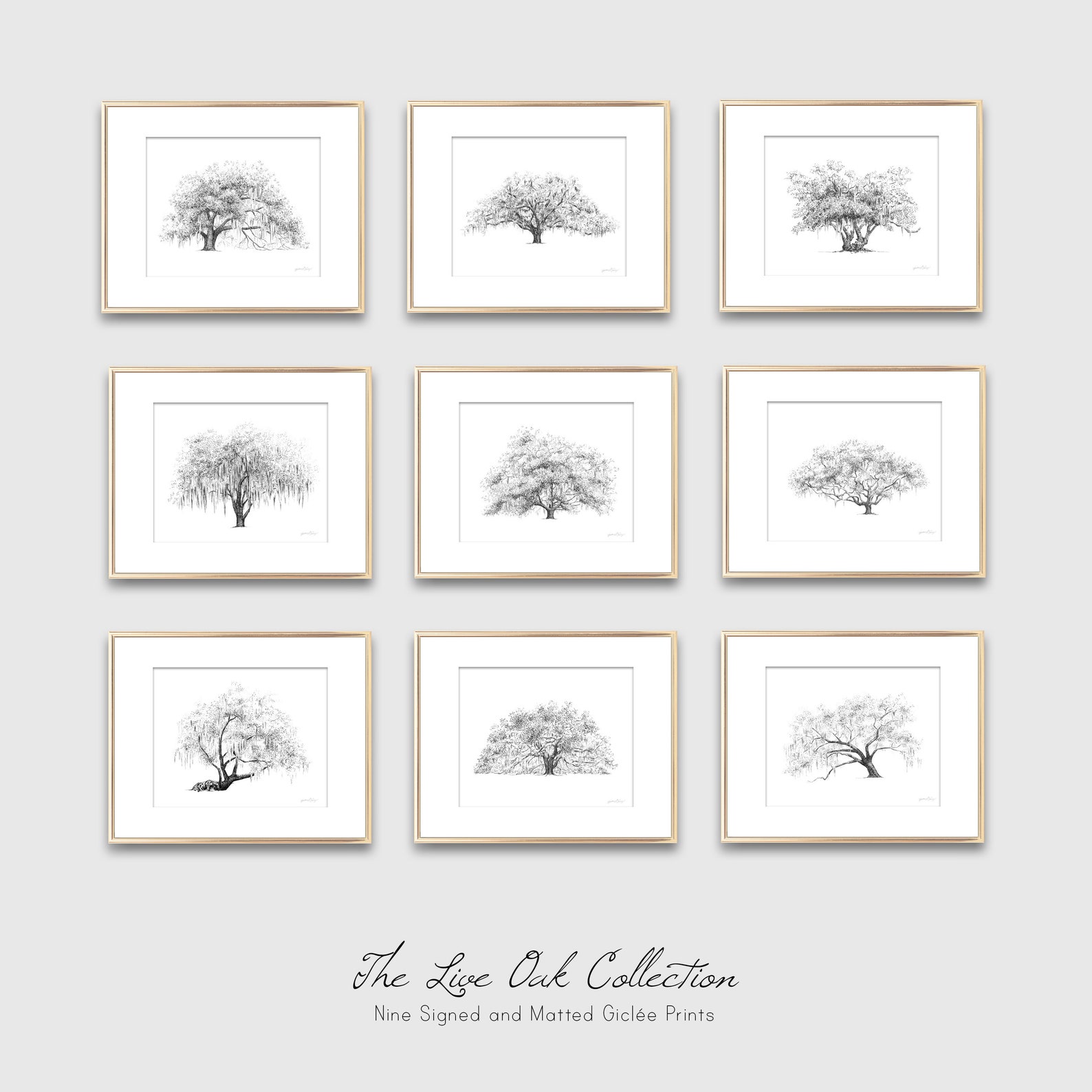 Ophelia Oak Tree Live Oak Drawing Fine Art Signed Tree Print Line ...