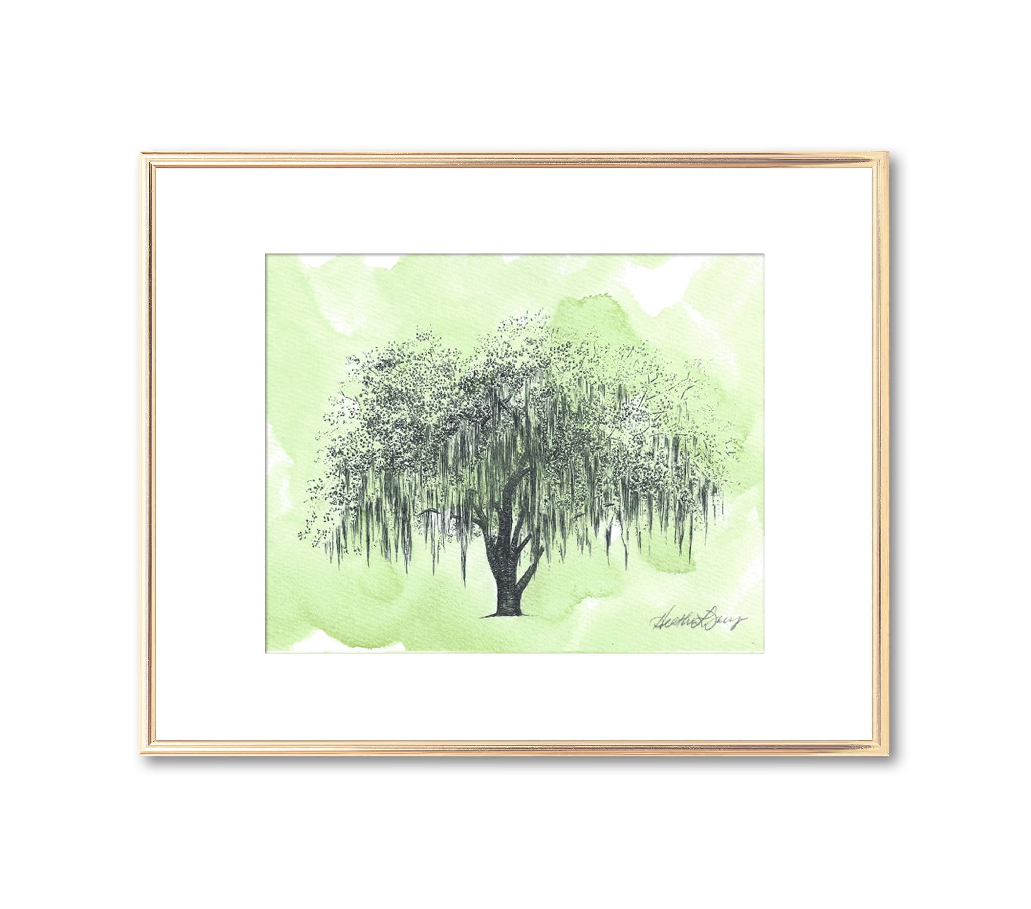 Old Oak Tree Line Drawing Fine Art Print Watercolor Art | Etsy