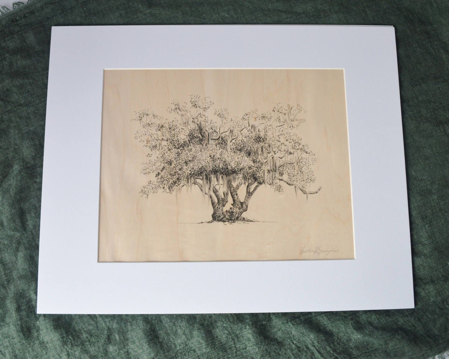 Rustic Live Oak Tree Print Wood Wall Art 5th Anniversary | Etsy