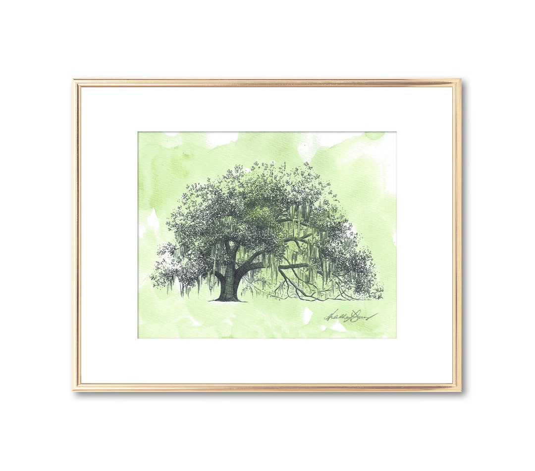 Watercolor Painting - Ophelia Oak Tree Print - Howfyl Plantation ...
