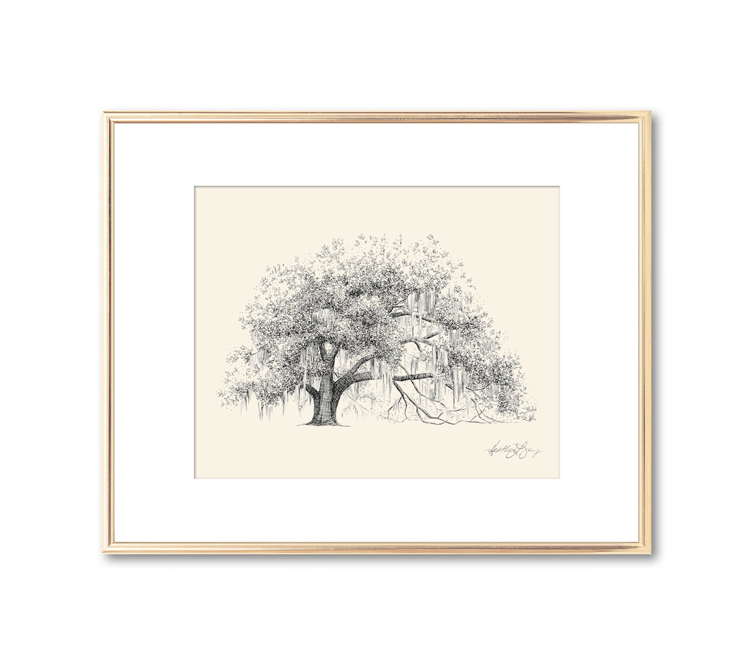 Ophelia Oak Tree - Live Oak Drawing - Fine Art - Signed Tree Print ...