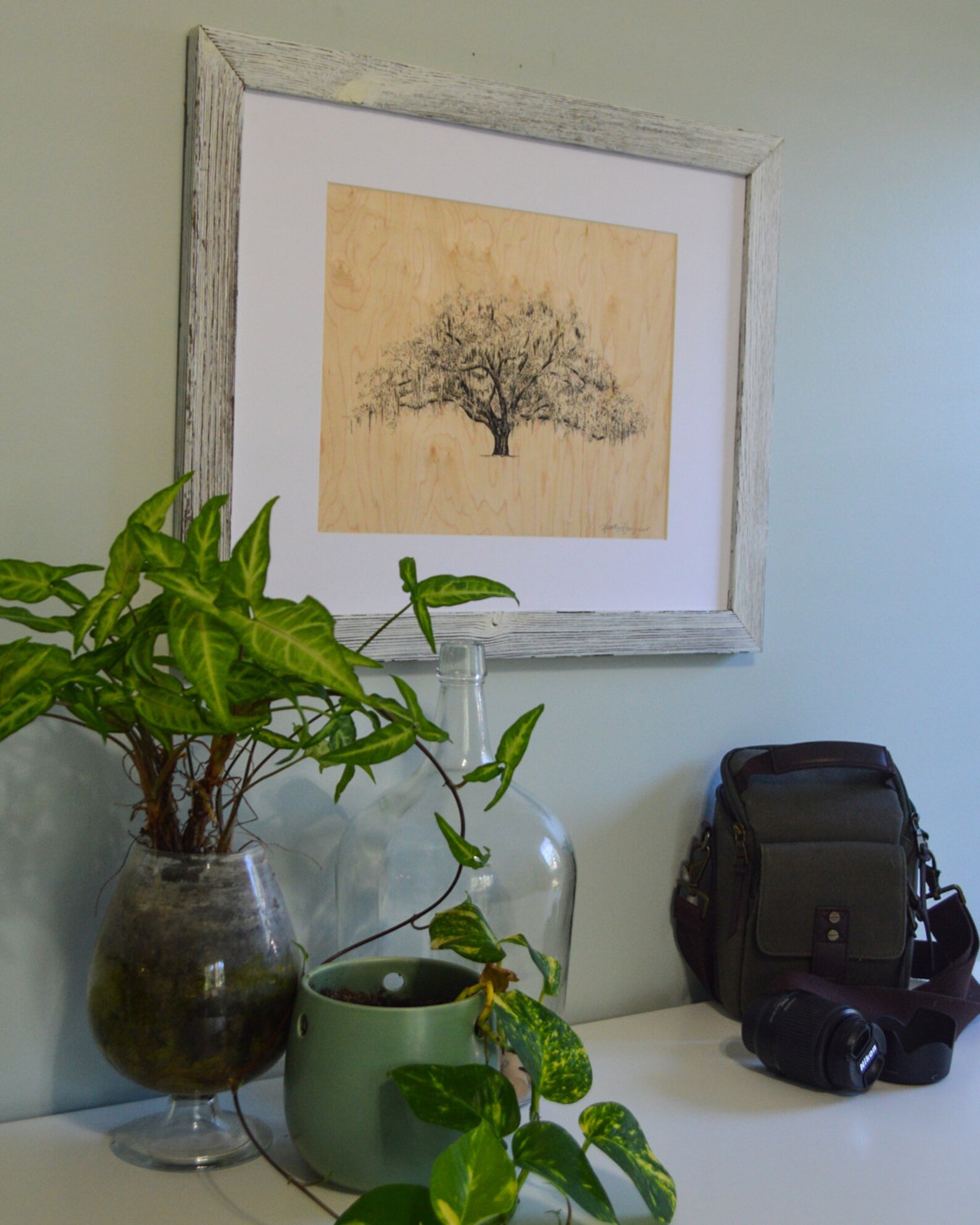 Candler Oak Tree Print Savannah Georgia Art Line Drawing - Etsy