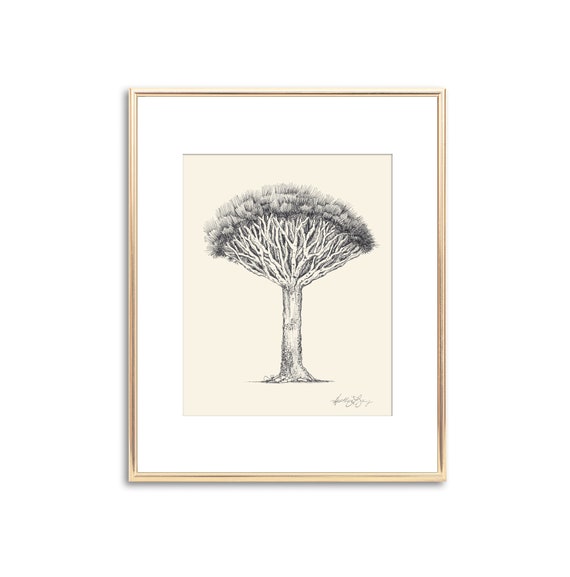 Dragon Tree Line Art Drawing Fine Art Signed Giclee Print | Etsy